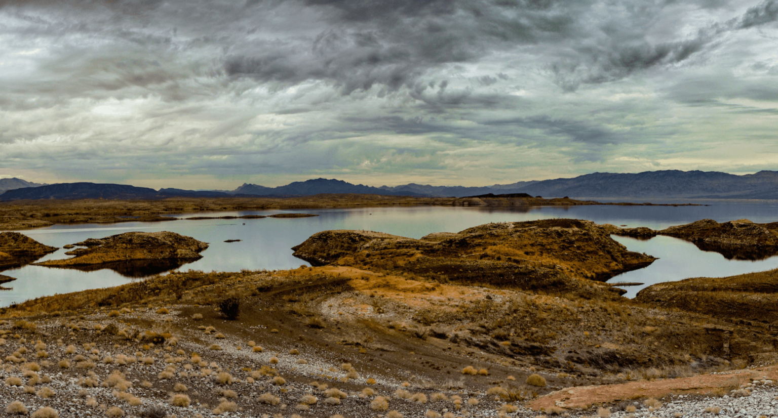 What Is Mead? | The Ancient Honey Wine Explained