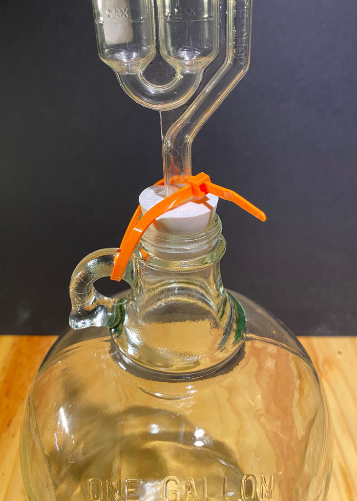 Step 3 Primary Fermentation Transforming Must Into Mead Step 3 Primary Fermentation Transforming Must Into Mead
